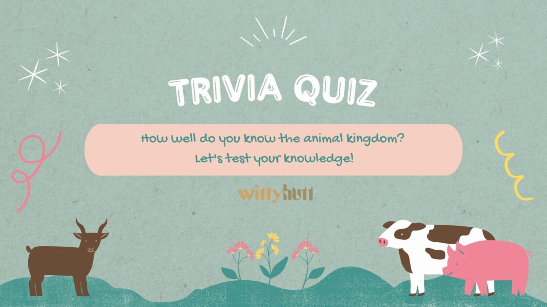 Animal Trivia: Fun Facts and Fascinating Information - Wittyhutt