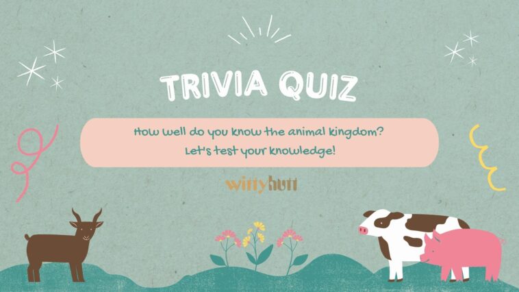 Animal Trivia: Fun Facts and Fascinating Information - Wittyhutt