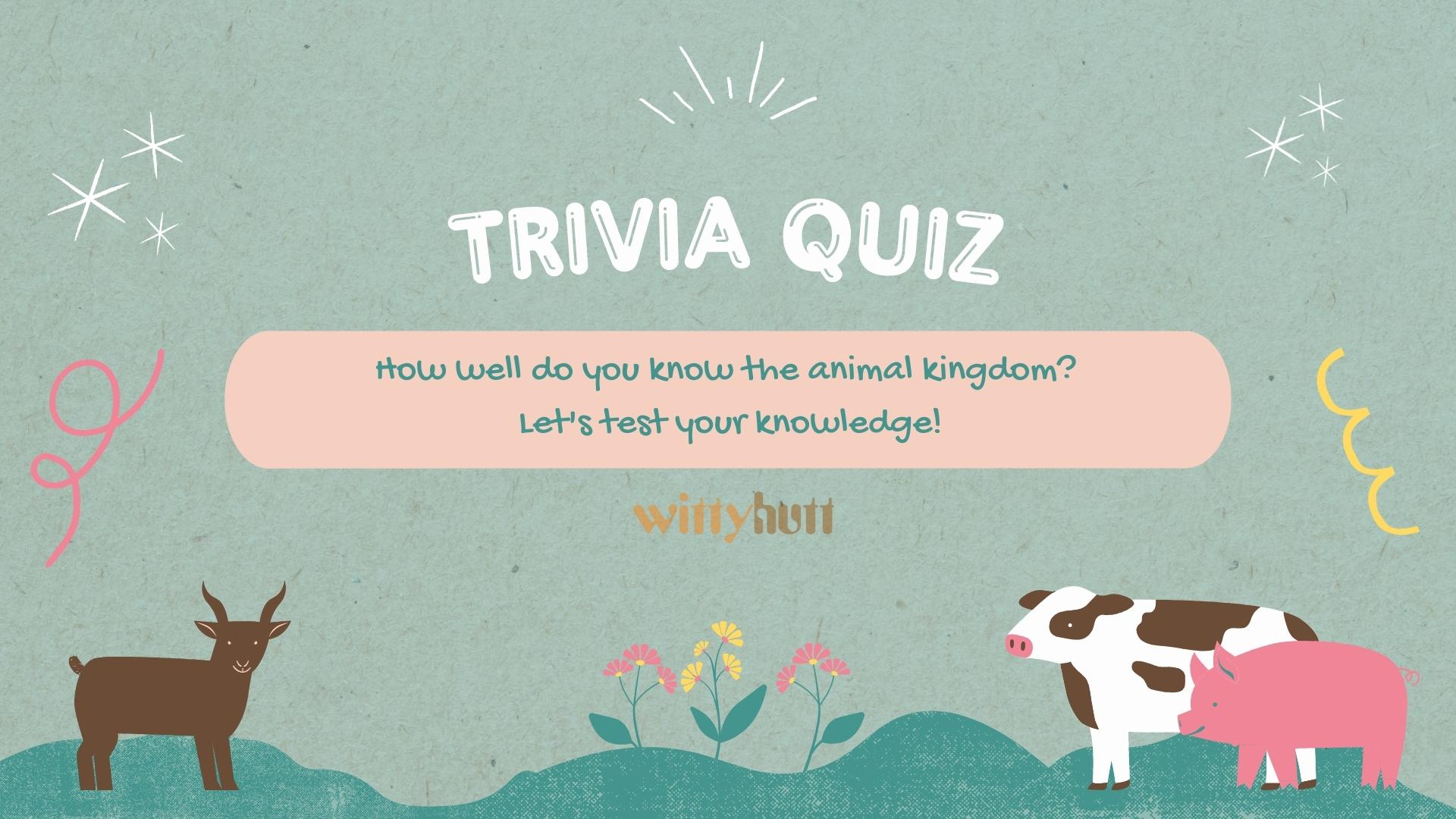 Animal Trivia: Fun Facts and Fascinating Information - Wittyhutt